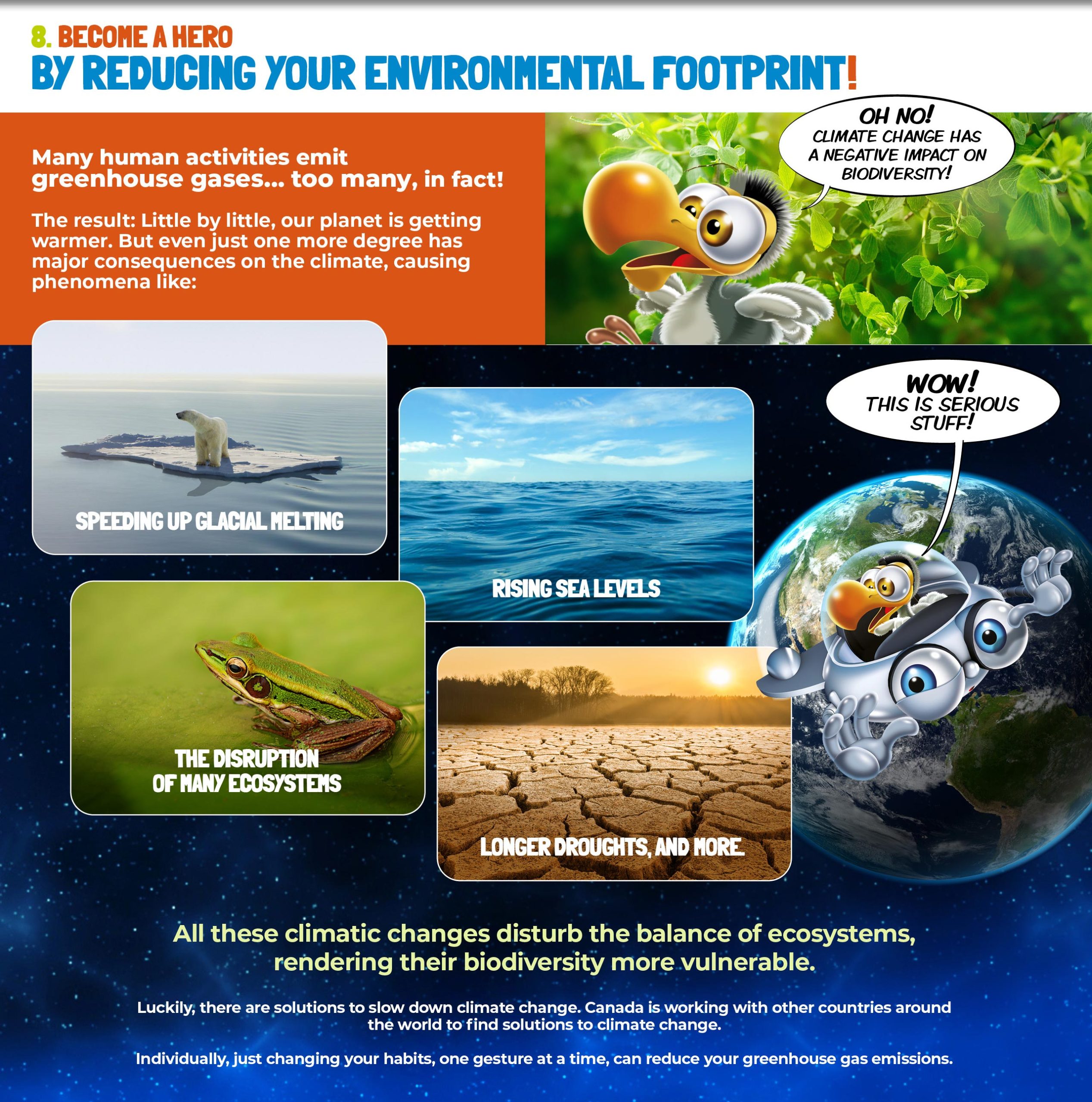 8. REDUCE YOUR ENVIRONMENTAL IMPACT | Cosmo The Dodo Bird