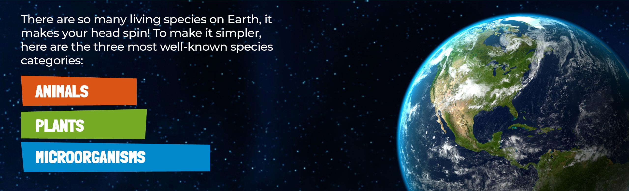 2. AN OVERVIEW OF LIVING BEINGS ON EARTH | Cosmo The Dodo Bird